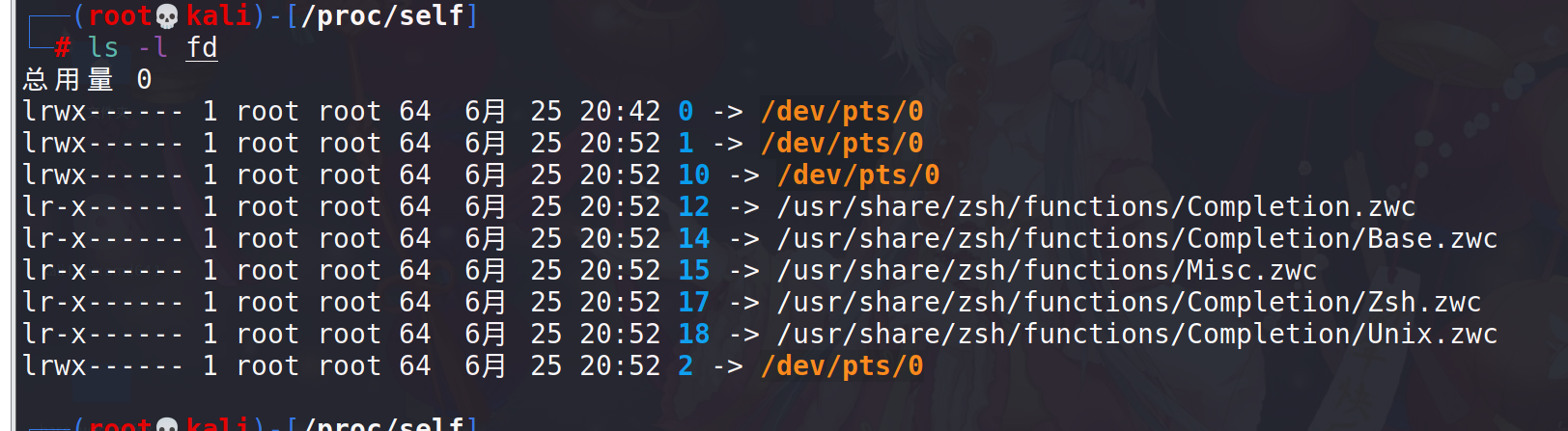 Linux系统之proc目录解析 | Atmujie-IT技术学习笔记