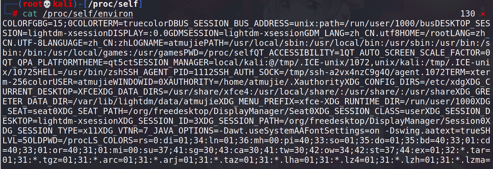 Linux系统之proc目录解析 | Atmujie-IT技术学习笔记